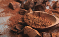Super Cocoa by RDCL Superfoods | Plant-Powered & Delicious